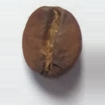 How to Use the Good Bad Bean Object Detection API