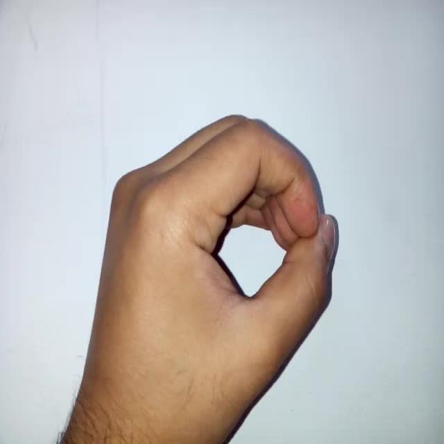 Sign Language Letter Translator Object Detection Dataset and Pre-Trained Model by My workspace