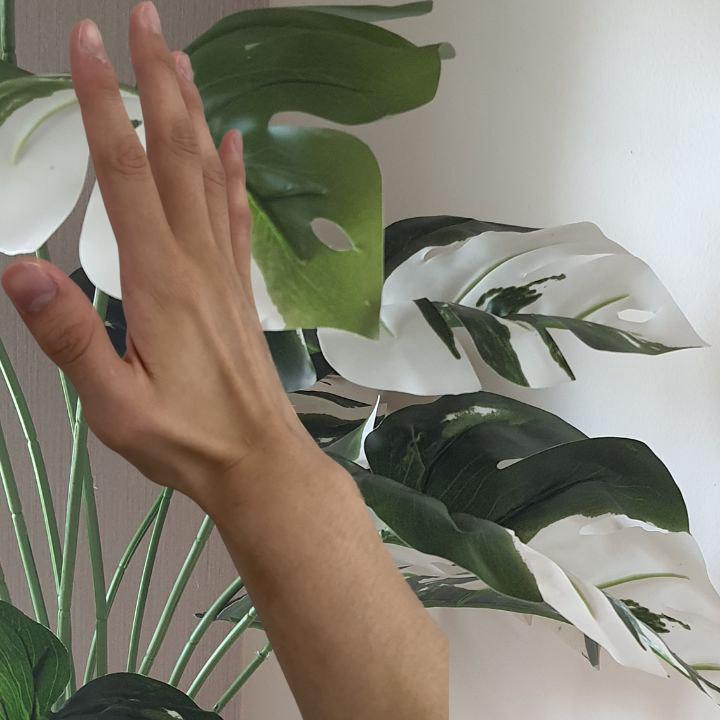 KMUTT (kmutt-wr7fp) - Roboflow Universe