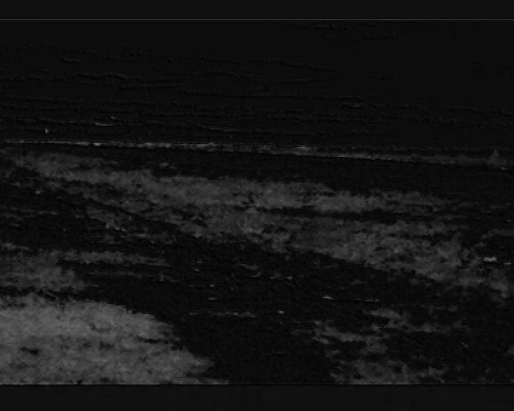 People In The Forest Through A Thermal Imager Object Detection Object