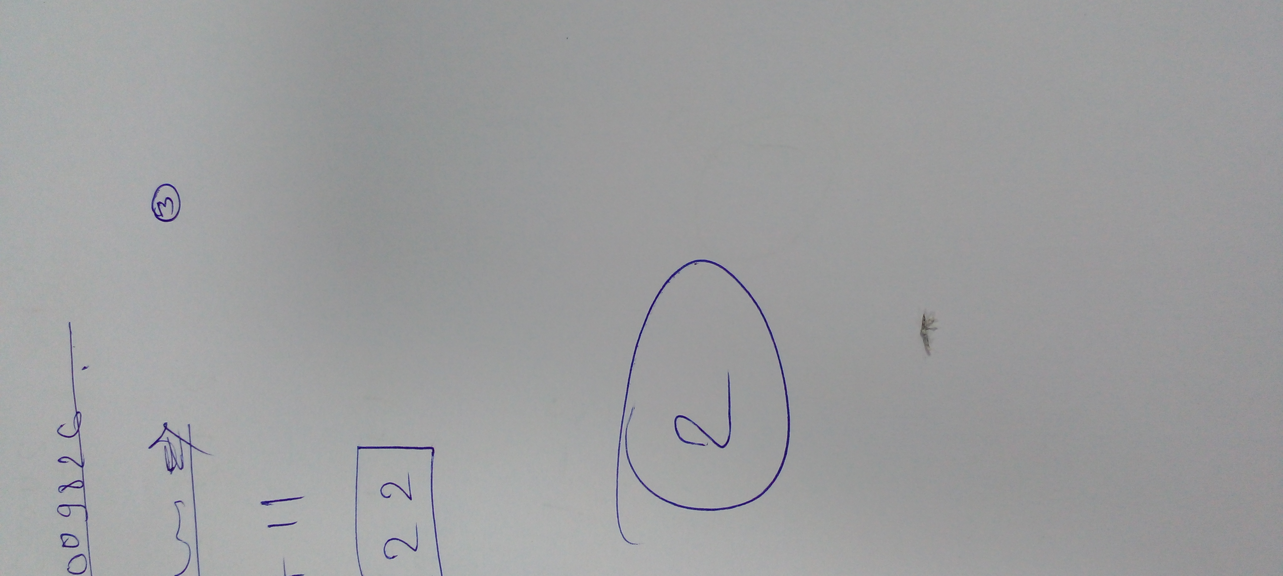 Solved For One Circle Object Detection Dataset By App Developer