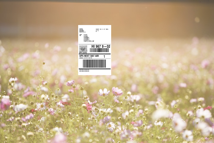 Synthetic Data 1 Object Detection Dataset by M Synthetic Data 1 Object Detection Dataset by M