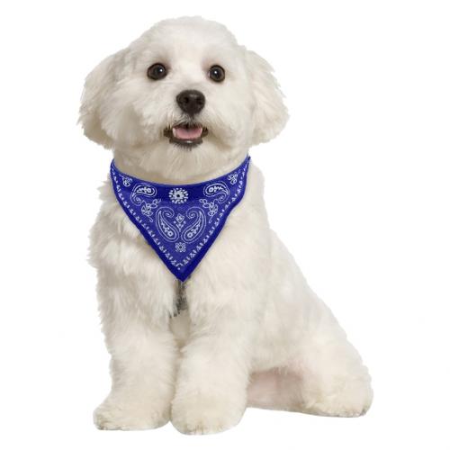 Ivan Vovchko (ivan-vovchko-d713v) - Roboflow Universe