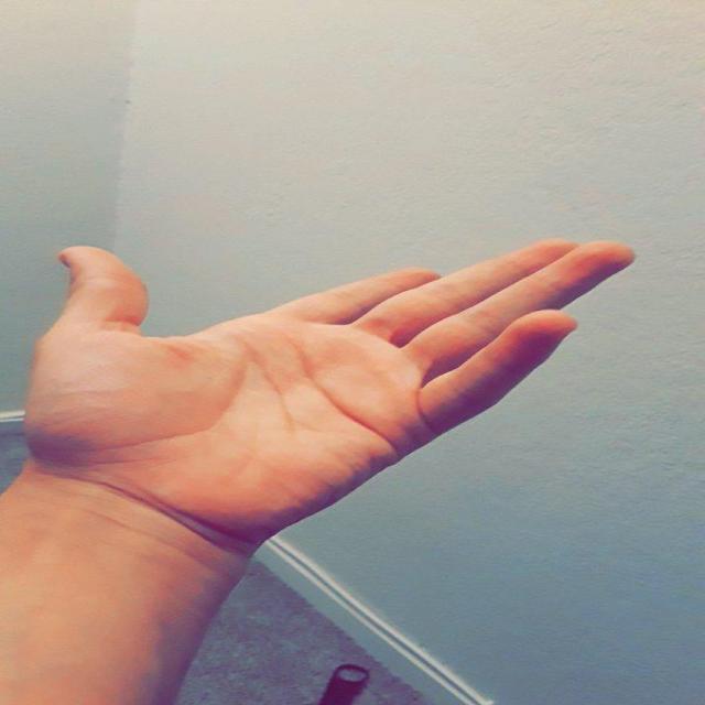 PM Computer Vision Dataset by School