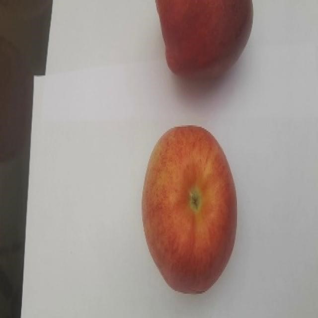 fruit Object Detection Dataset by test