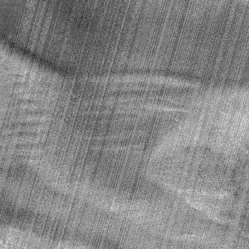 Test Coco Instance Segmentation Dataset By Chloe Daudon