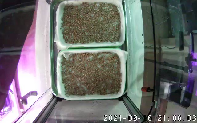 1104_mold_경림 Object Detection Dataset by Jin