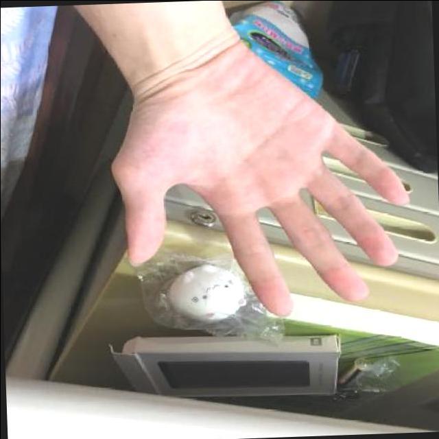 HandDetection Object Detection Dataset and Pre-Trained Model by Work