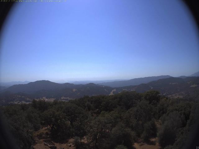 wild_200 Object Detection Dataset by yolowildfire