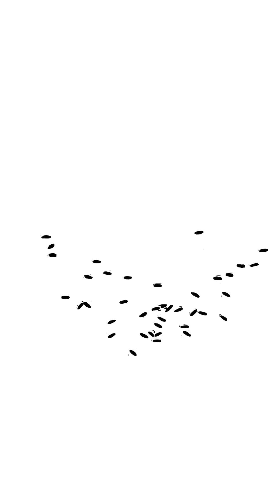 Moskito Newdataset Object Detection Dataset By Bit