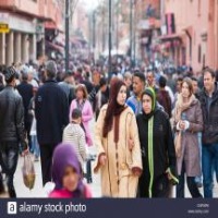 crowd counting dataset Object Detection Dataset and Pre-Trained Model by Crowd dataset