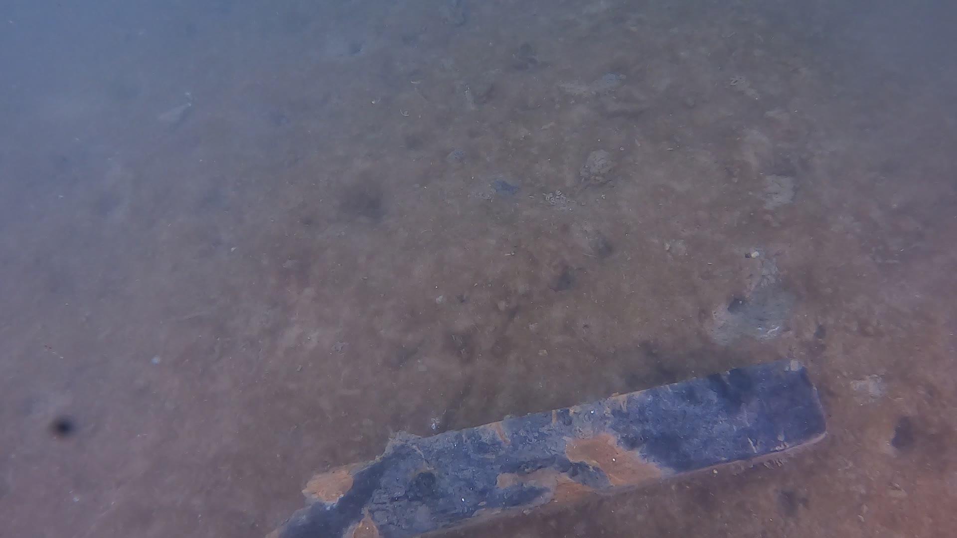 train12 Object Detection Dataset by new-workspace-sspbb