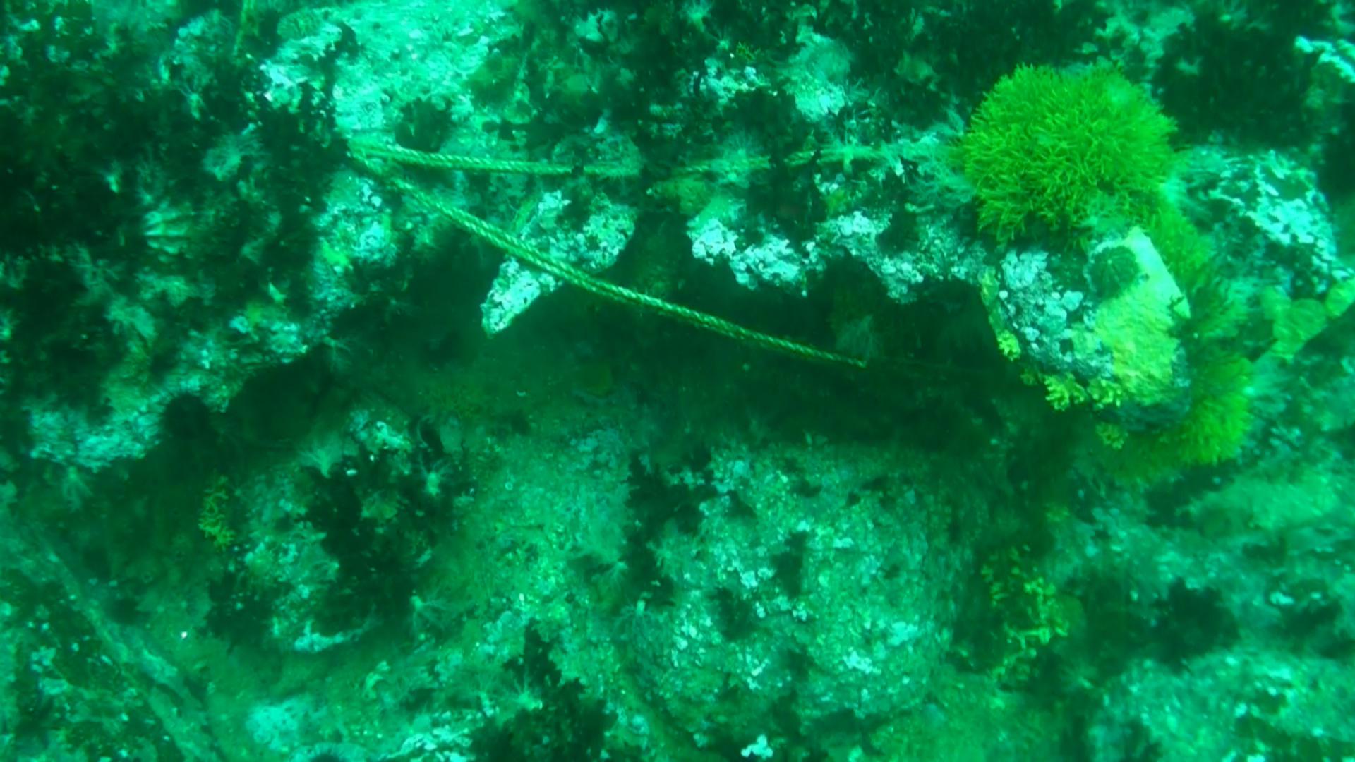 train1 Object Detection Dataset by new-workspace-sspbb