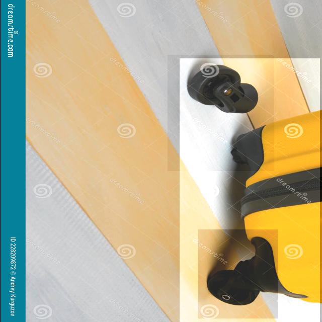 Baggage detection Object Detection Dataset by Major Project