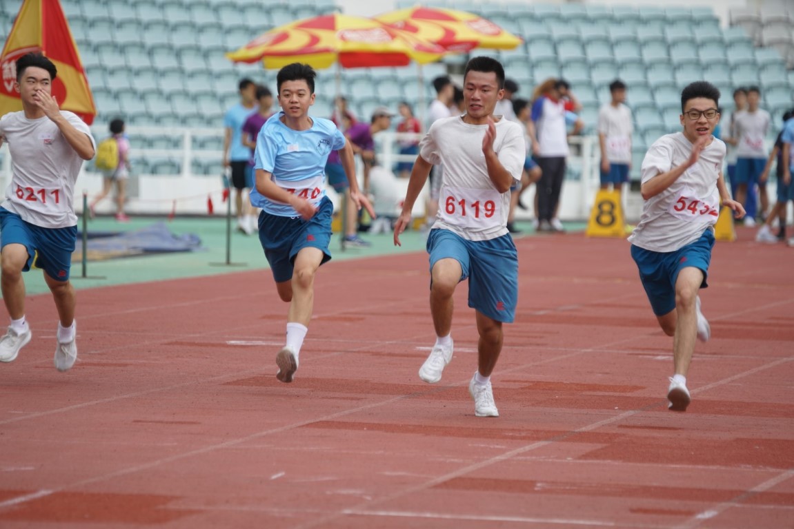 sport num Object Detection Dataset by new-workspace-1j0u0