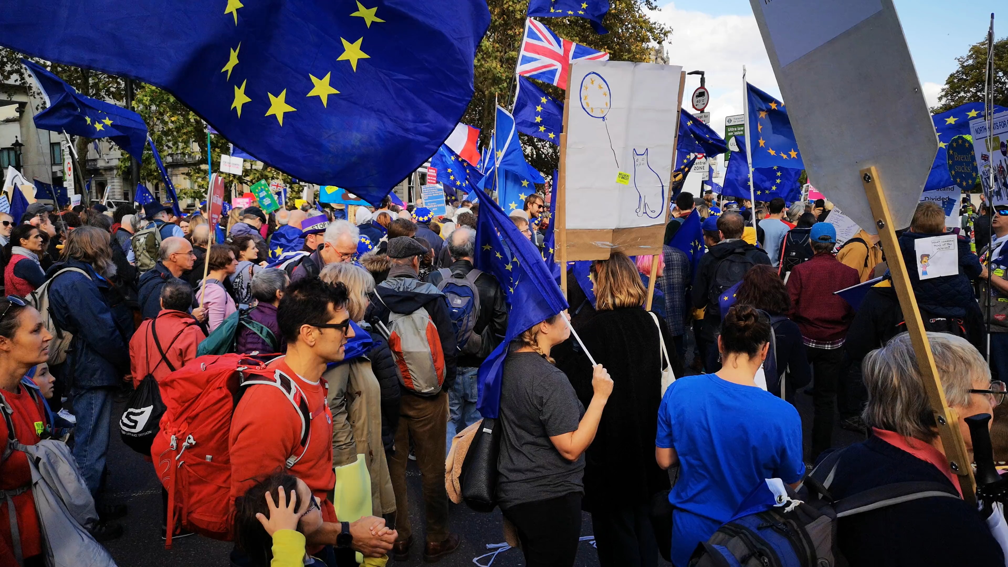 Human segmentation from crowd Instance Segmentation Dataset and Pre ...