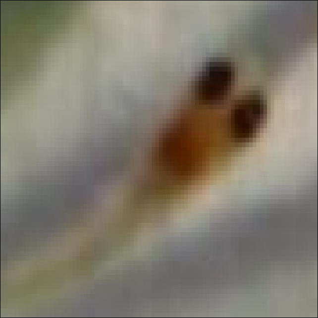 Detection of fish Object Detection Dataset and Pre-Trained Model by Project