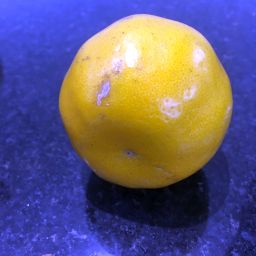 banana Object Detection Dataset and Pre-Trained Model by kualitas Jeruk