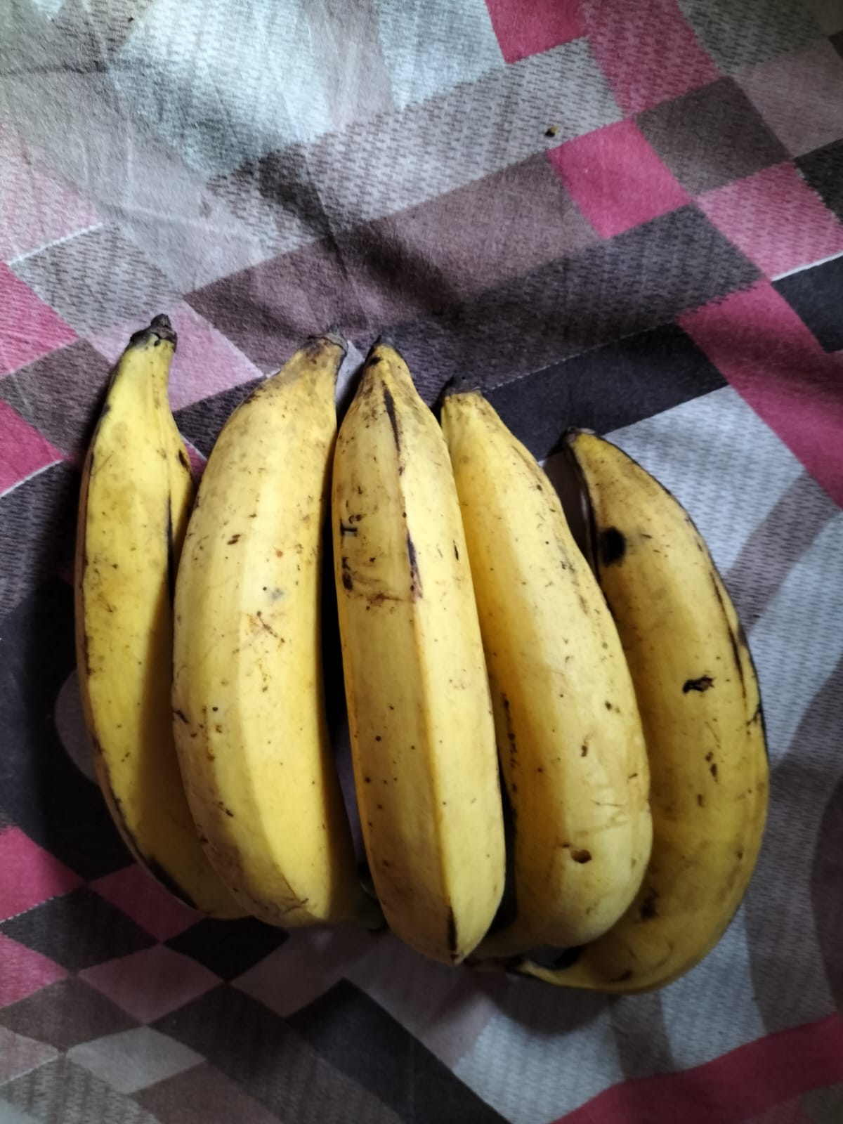 Kerala University - Roboflow Universe