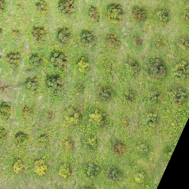M_Reina_Ester_Zapata Object Detection Dataset by Proyectos