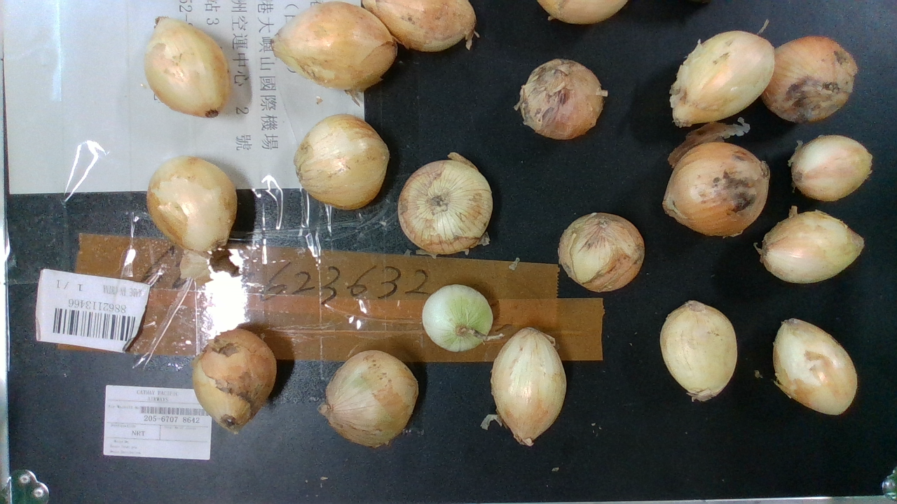 yolo_onion Object Detection Dataset by YAMANASHI