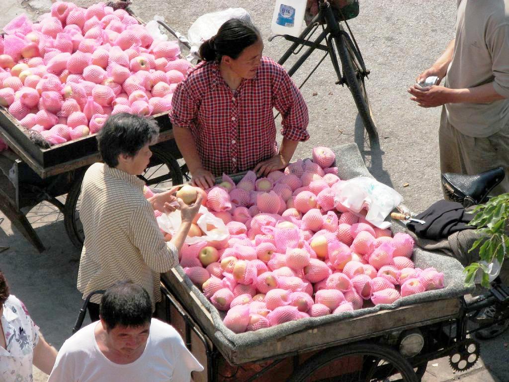 All fruits Object Detection Dataset by U america