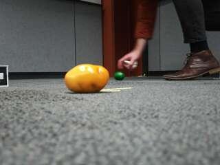 fruit detect Object Detection Dataset by Monash