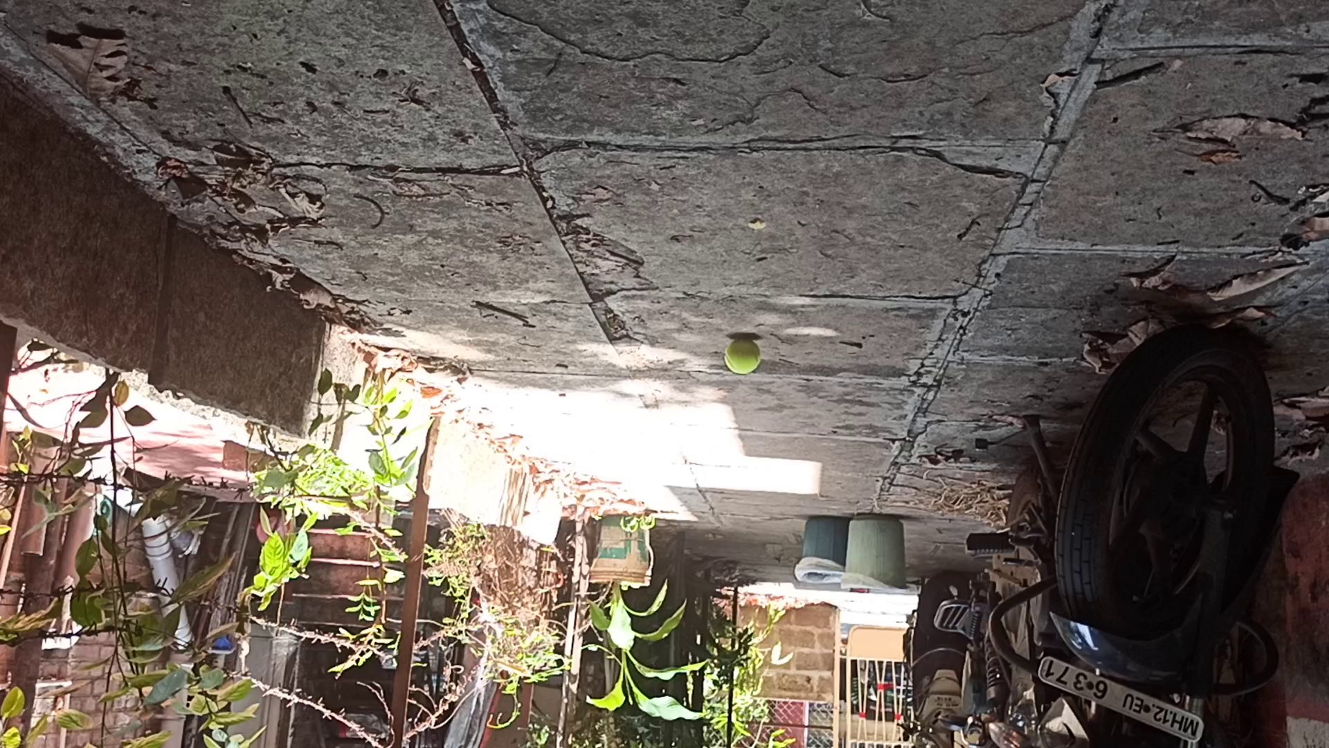 How to Use the Tennis Ball Detection & Tesla md Object Detection API