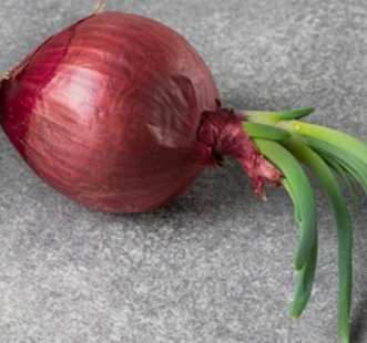 Onion detection Object Detection Dataset and Pre-Trained Model by KryoTech