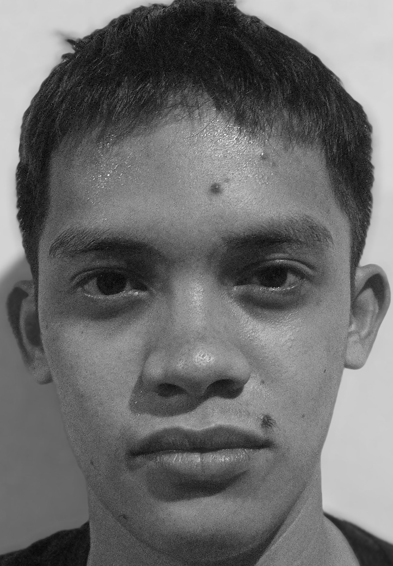 Face Recognition Object Detection Dataset and Pre-Trained Model by Bohol Island State University