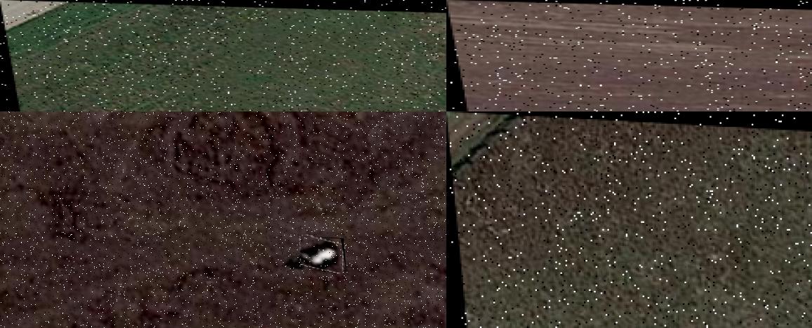 Cow Detection Object Detection Dataset By Natali