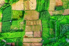 How to Use the farm_land_detection Object Detection API