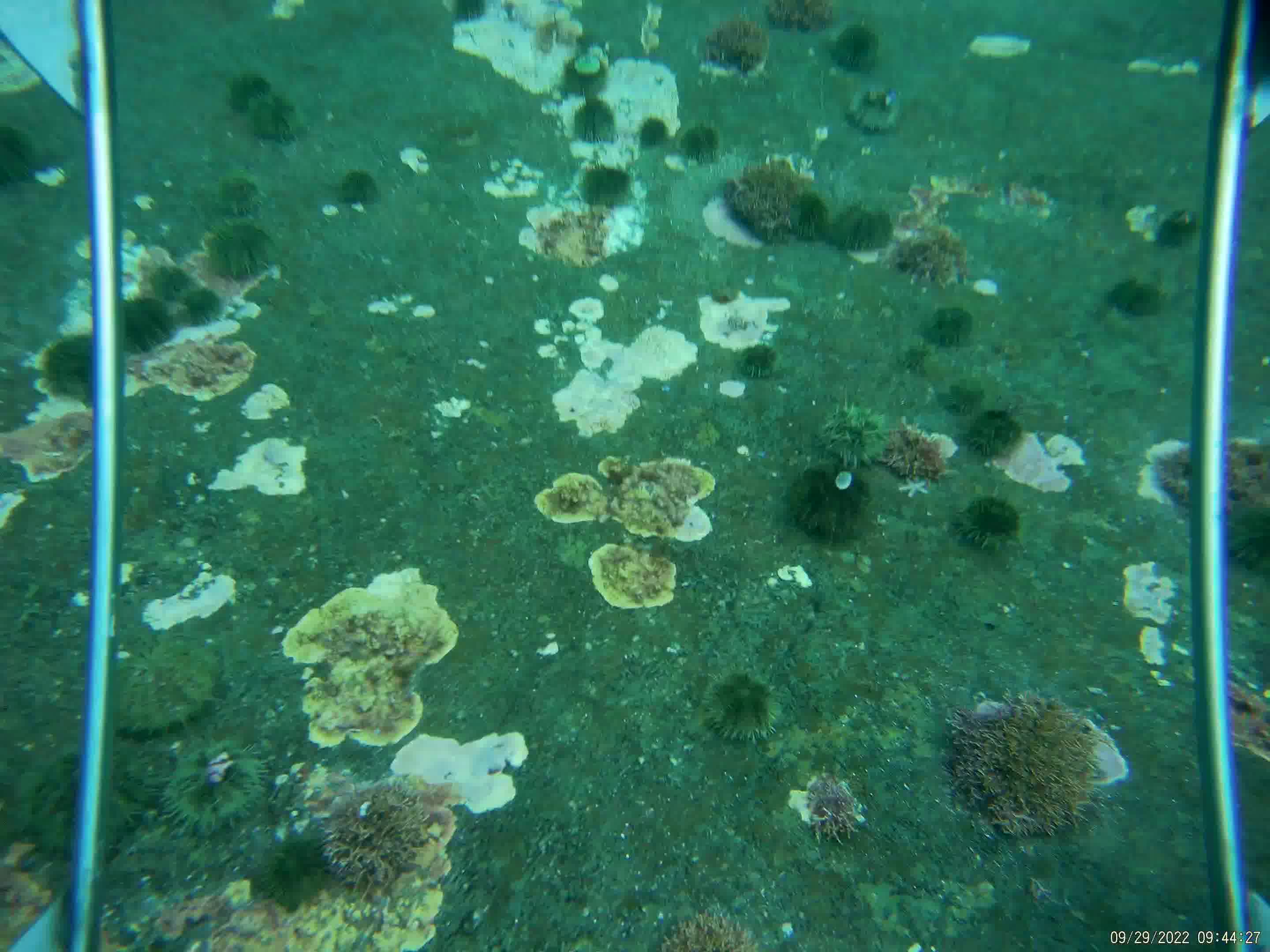 no Object Detection Dataset by Ytrewq Harrison