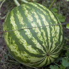 saeed adeeb - Roboflow Universe