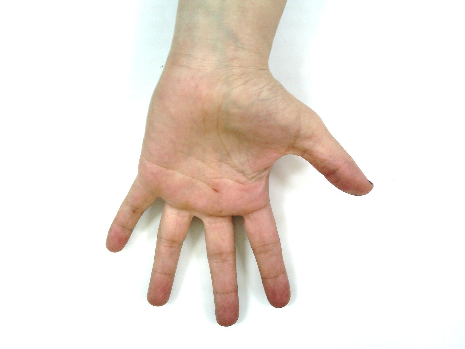 Hands Detector Object Detection Dataset by Inbody