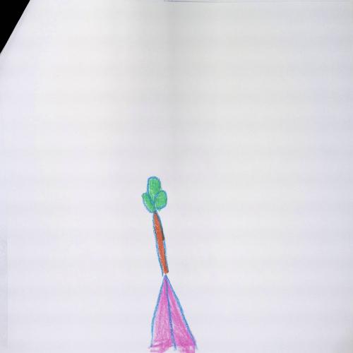 Instance Segmentation Tree Elements Instance Segmentation Dataset and Pre-Trained Model by drawings