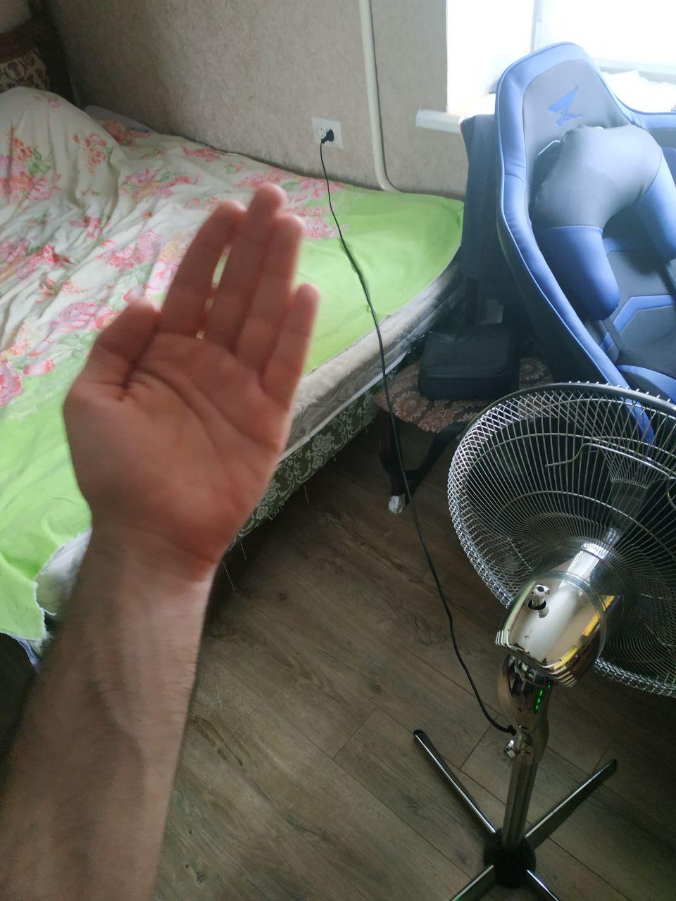 Hands_Detection Object Detection Dataset and Pre-Trained Model by ... Hands_Detection Object Detection Dataset and Pre-Trained Model by ...