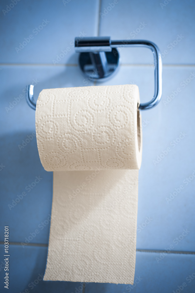 Toilet Paper Object Detection Dataset By Practicas Preprofesionales