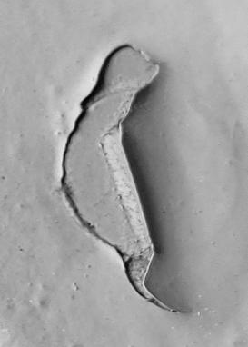 aircraft-skin-defects-classification-new-dataset Classification Dataset ...