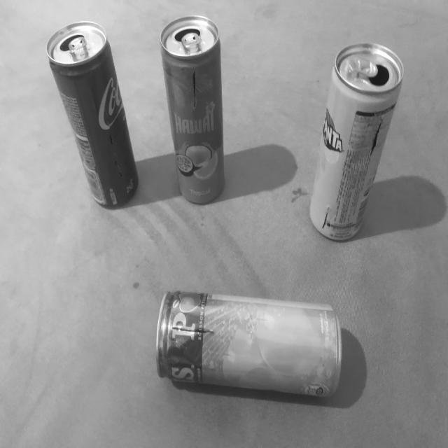 Project Can Object Detection Dataset by Haja