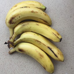 Fruit Freshness Detection Object Detection Dataset and Pre-Trained ...