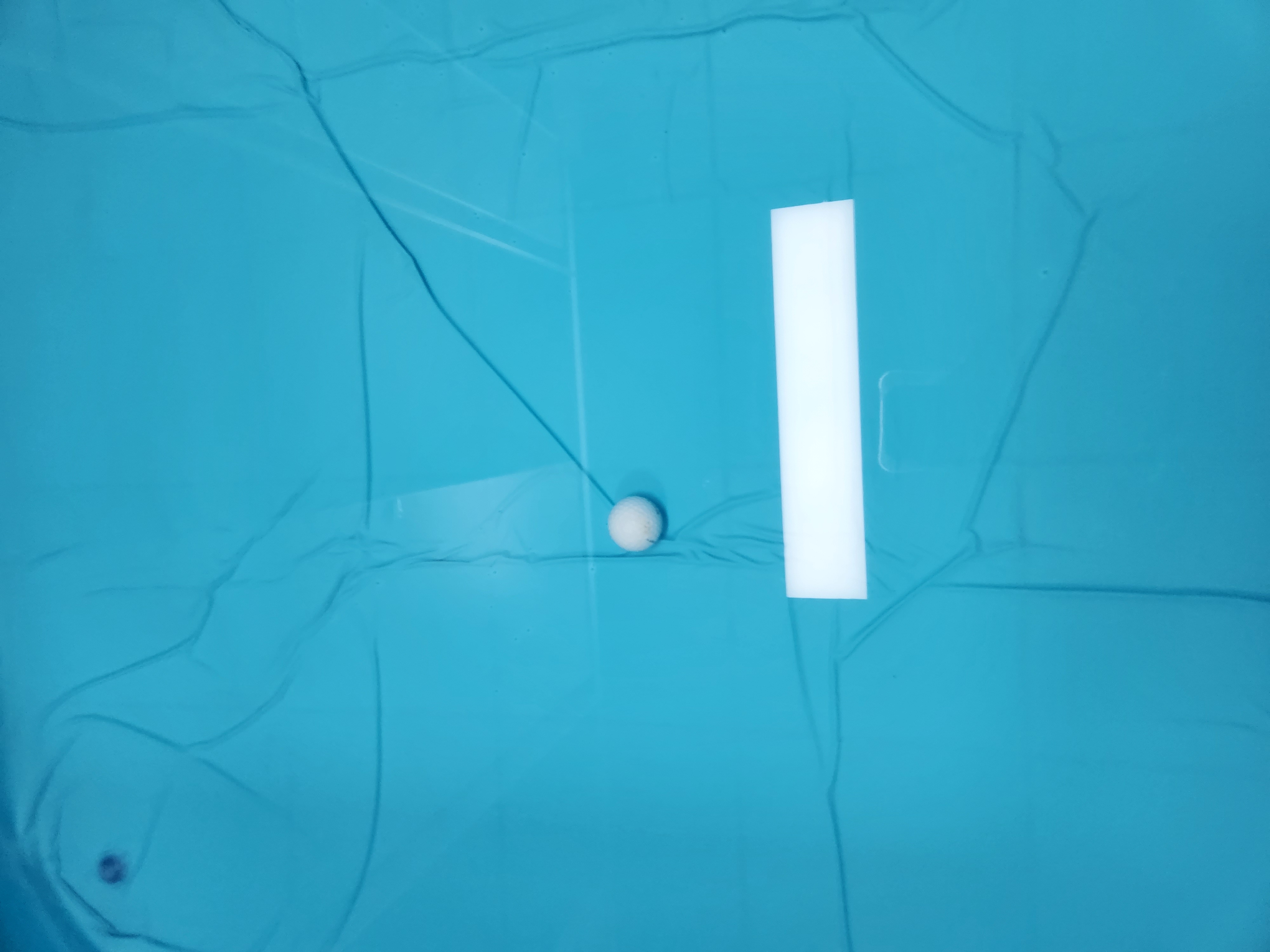 golf ball Instance Segmentation Dataset and Pre-Trained Model by echidna