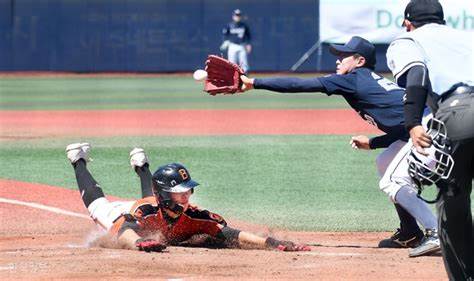 baseball Object Detection Dataset and Pre-Trained Model by 2022realrne