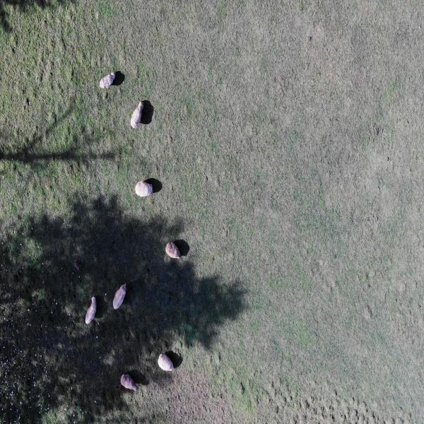 Deep Learning Based Vision System Design For Digital Agriculture Object ... Deep Learning Based Vision System Design For Digital Agriculture Object ...