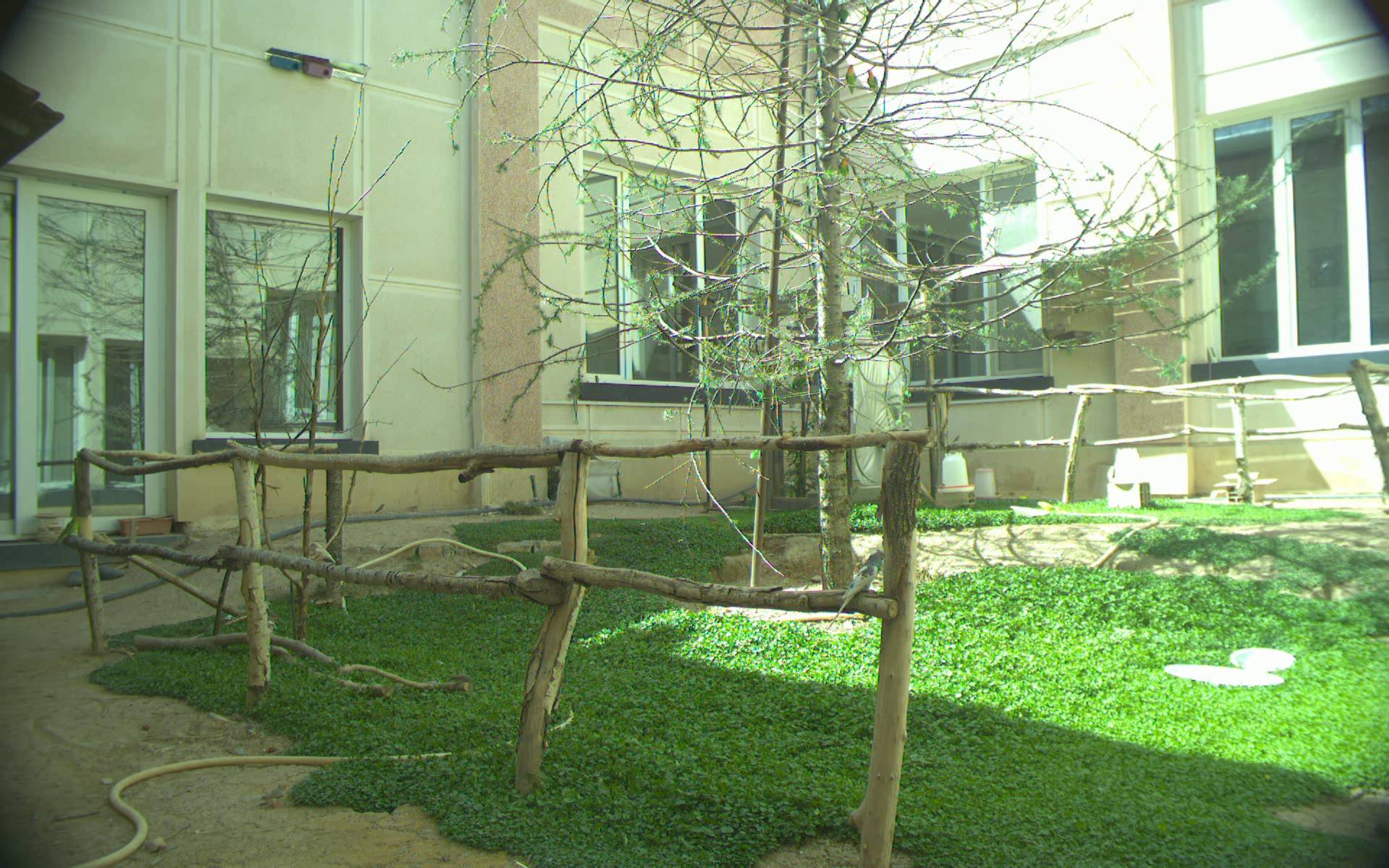 Birdsobjectdetection Object Detection Dataset By Video Object Detection