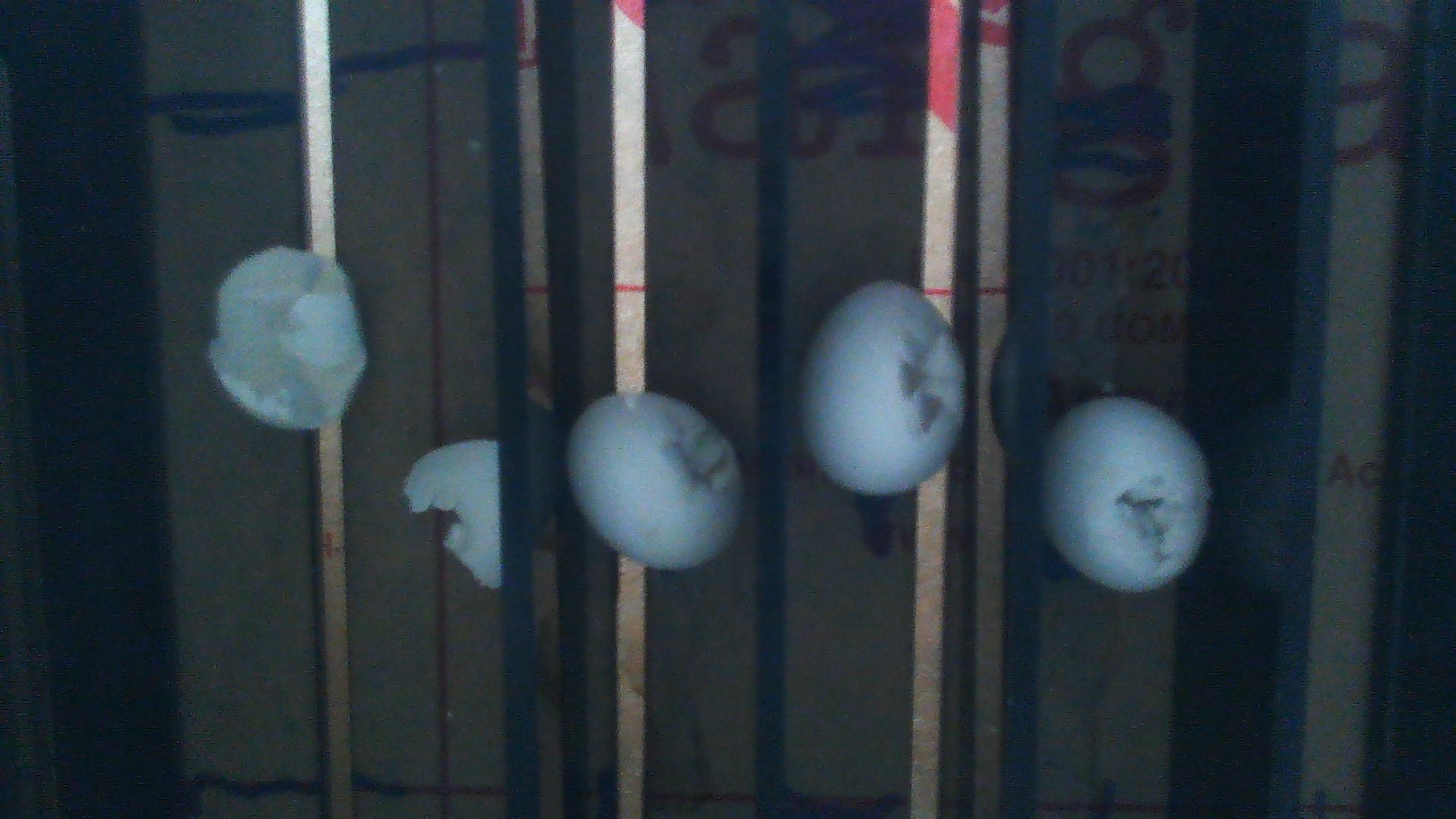 Egg Detection Object Detection Dataset By Tanakit Suetrong