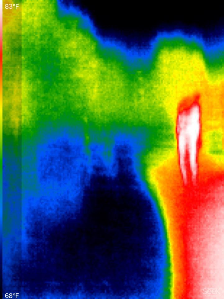 thermal man detect Object Detection Dataset and Pre-Trained Model by ...