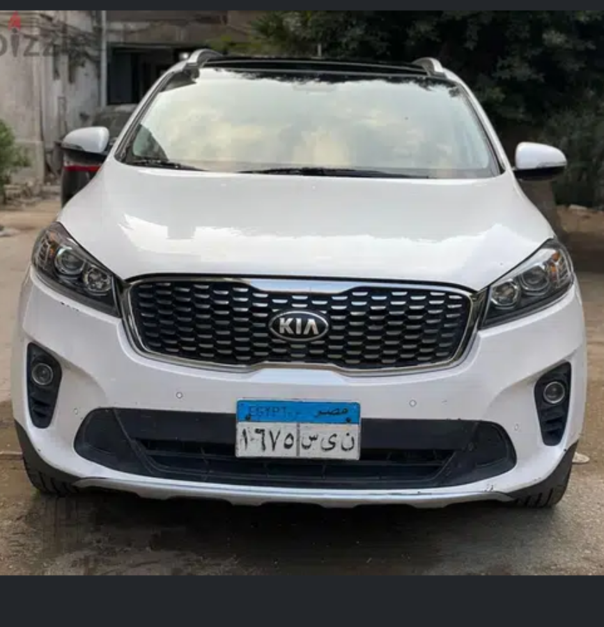 KIA Classification Dataset by assuit university