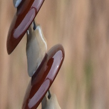 wxwx Classification Dataset and Pre-Trained Model by test