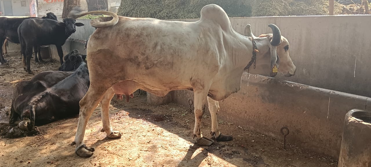 Top Bounding_box Datasets and Models | Roboflow Universe